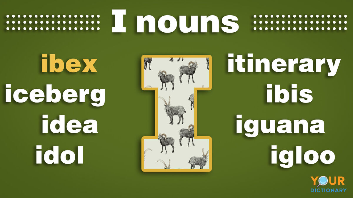 50 Noun verb Combinations Cheap Dealers Brunofuga adv br