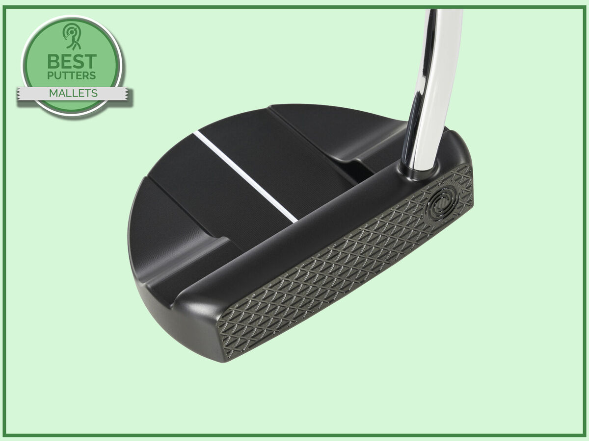 The Best Mallet Putters of 2022 Golflink.com