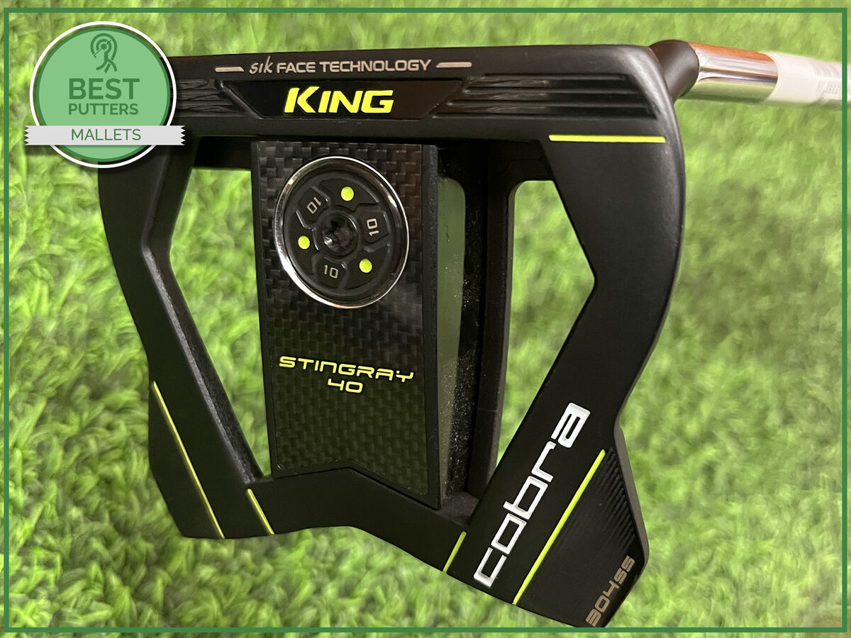 The Best Mallet Putters of 2022 Golflink.com