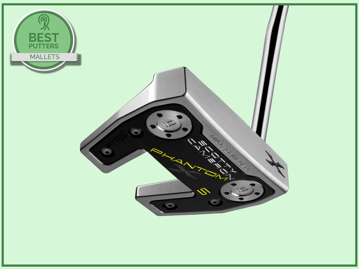 The Best Mallet Putters of 2022 Golflink.com