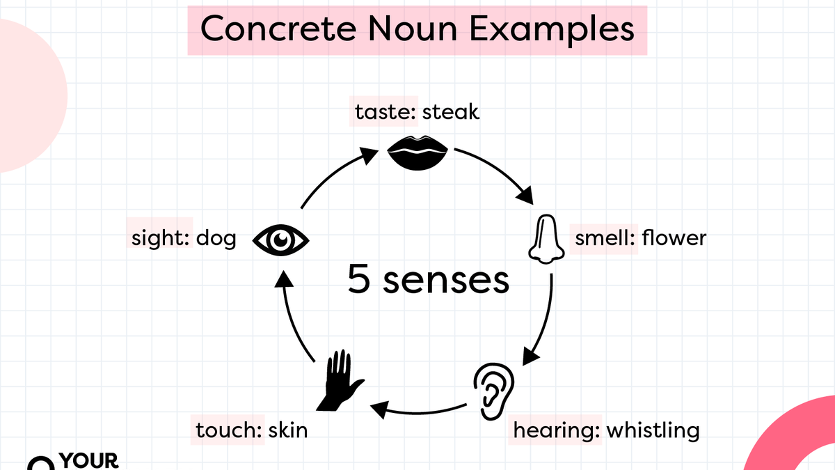 Concrete Noun Examples For Kids