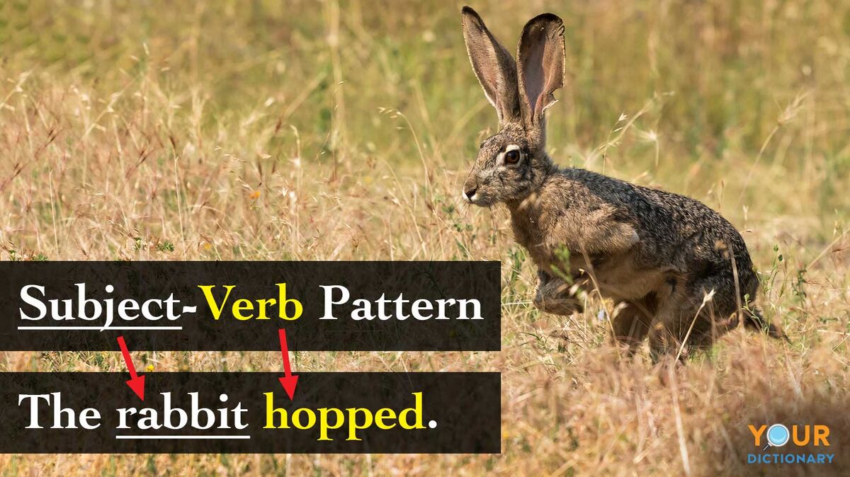 Key Sentence Patterns In English Grammar YourDictionary