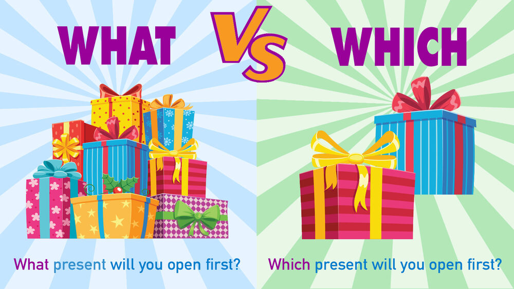 When to Use What vs. Which for Correct Grammar | YourDictionary