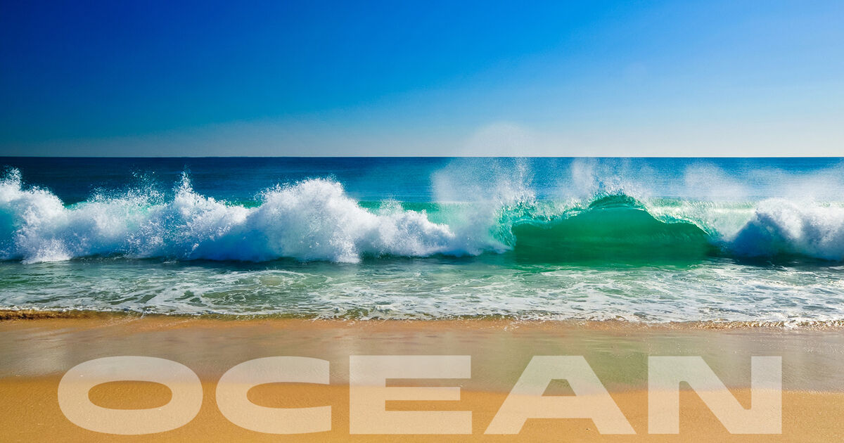 List Of Ocean Sea Related Words YourDictionary List Of Ocean Sea Related Words YourDictionary