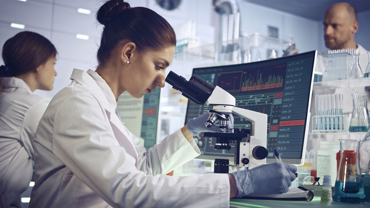 Genetic Engineers TheInfoWise Genetic Engineers TheInfoWise